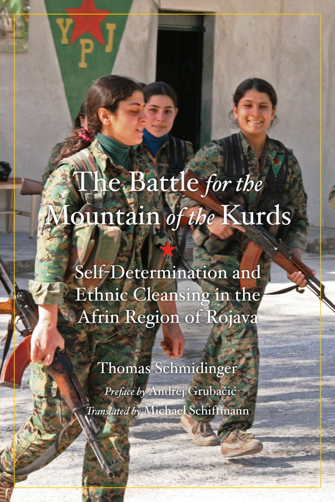 The Battle for the Mountain of the Kurds: Self-Determination and Ethnic ...